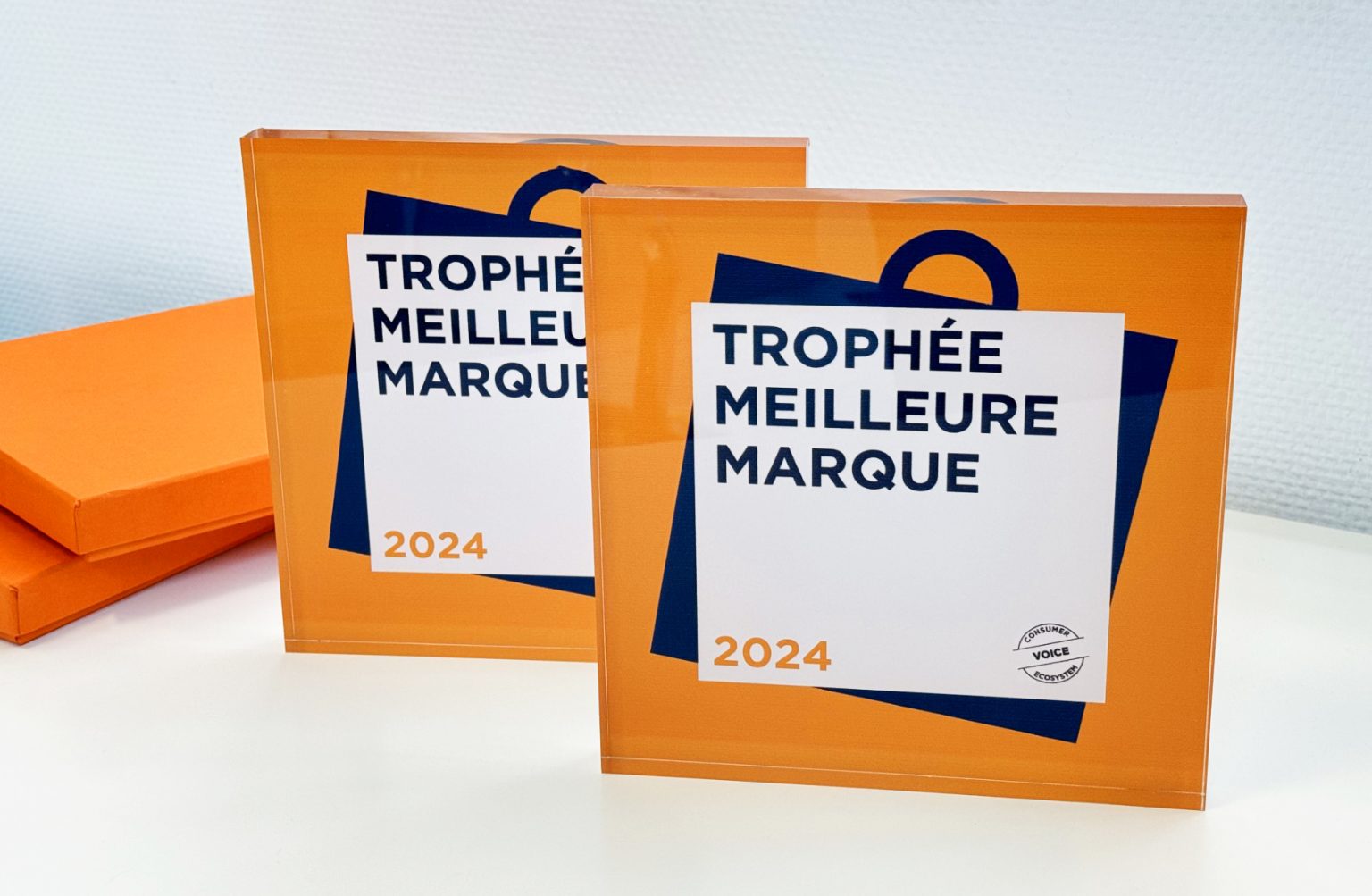 Archea remporte le Trophée Meilleure Marque 2024 | Archea